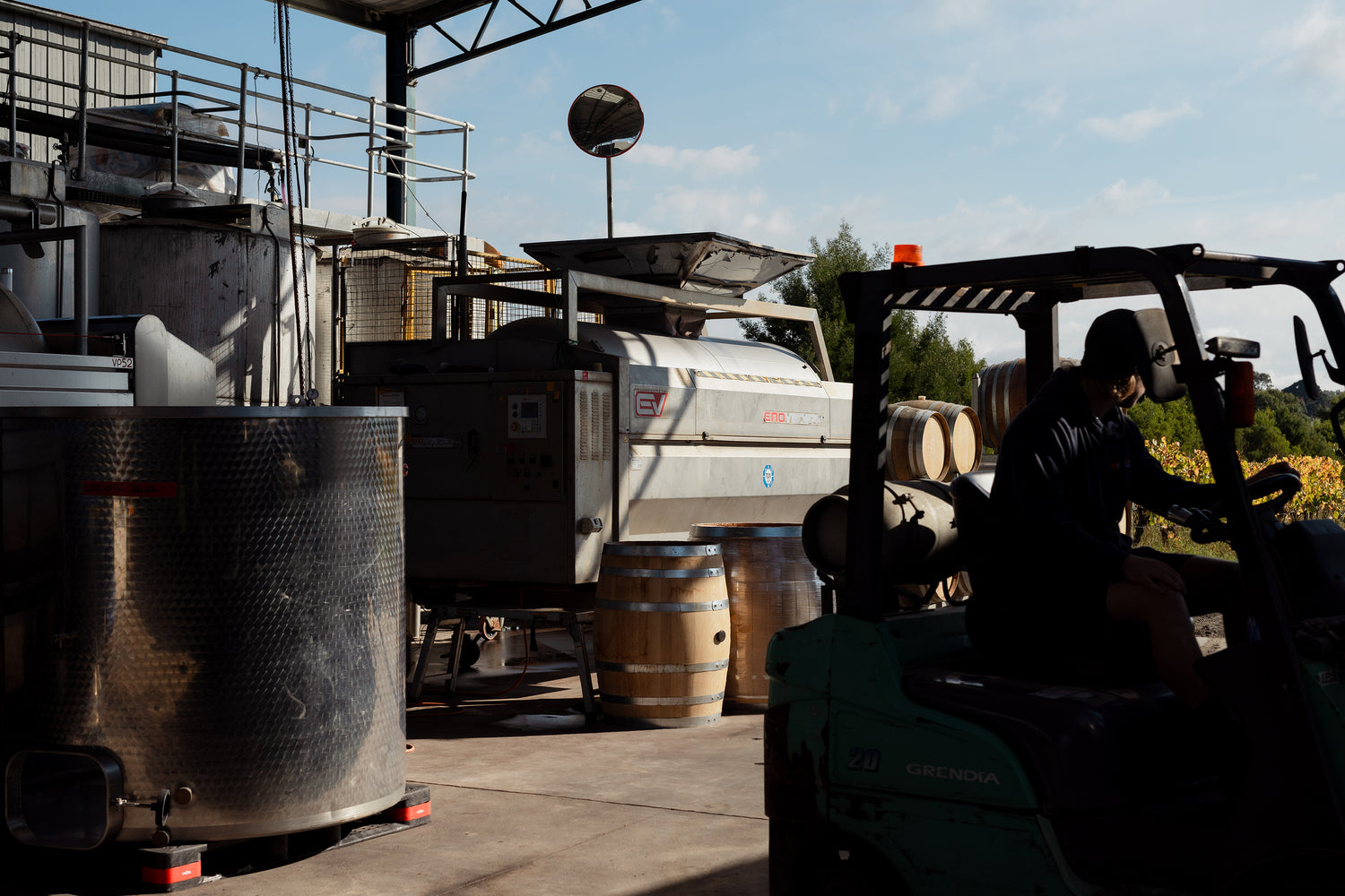 Winemaking – Quealy Winemakers