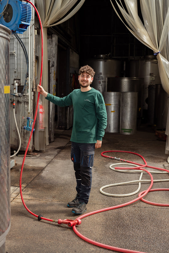 Winemaking – Quealy Winemakers